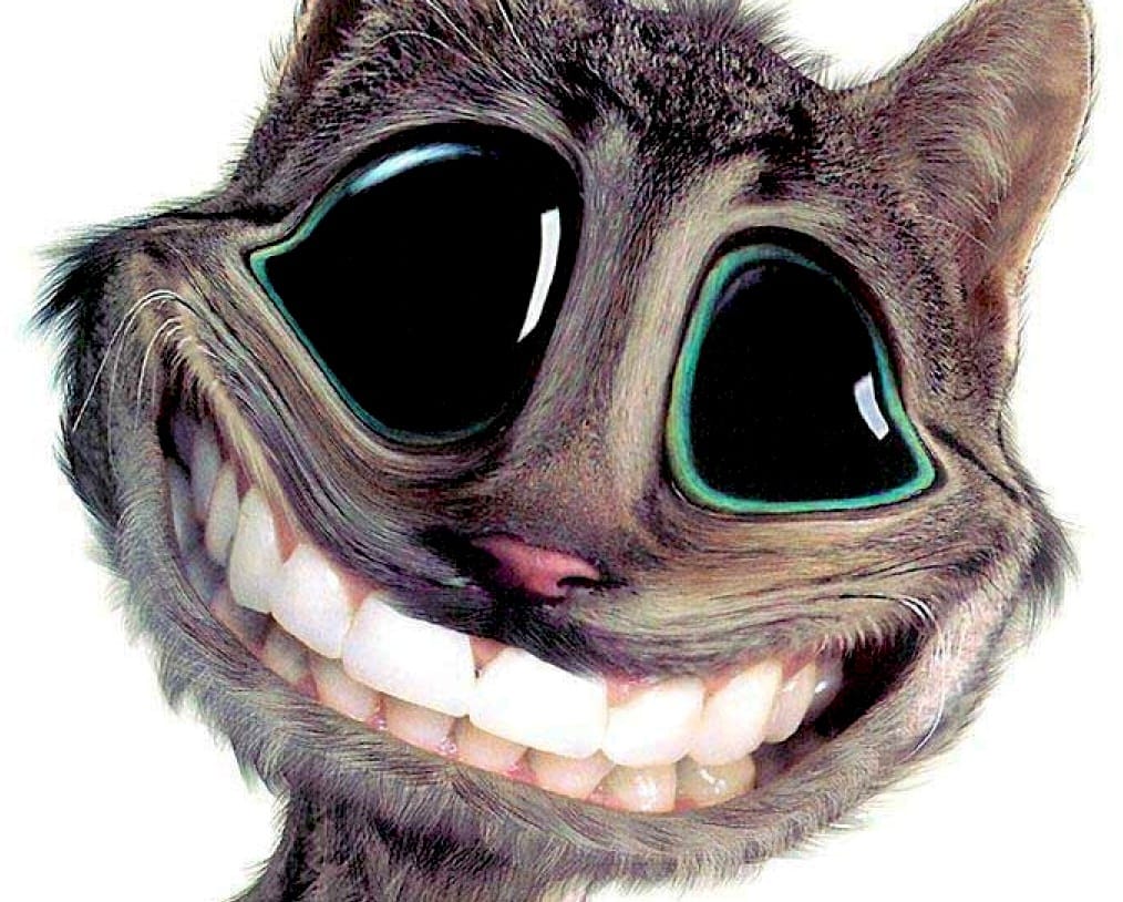 Is Smiling Contagious?